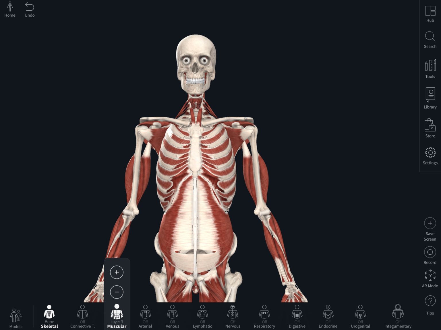 海外医学生の90％以上が使う定番解剖学アプリComplete Anatomyを解説 | マヌ、どーしたーの？