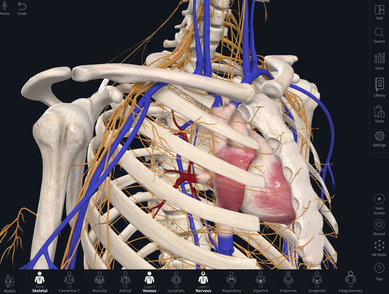 海外医学生の90％以上が使う定番解剖学アプリComplete Anatomyを解説 | マヌ、どーしたーの？
