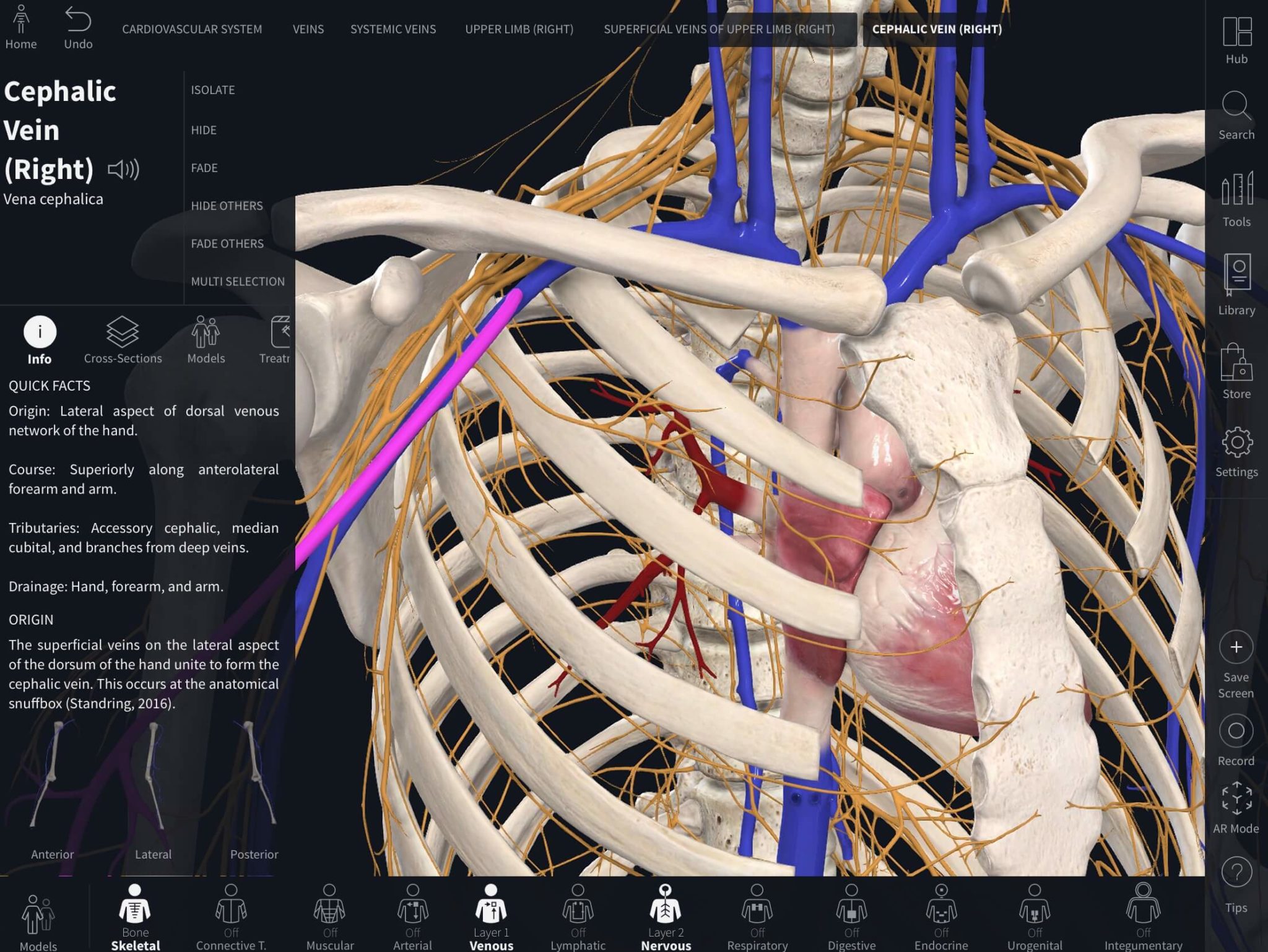 海外医学生の90％以上が使う定番解剖学アプリComplete Anatomyを解説 | マヌ、どーしたーの？